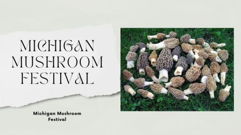 Michigan Mushroom Festivals: Discover Wild Flavors
